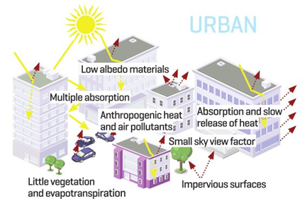 Extreme heat and the urban environment – The Task Ahead